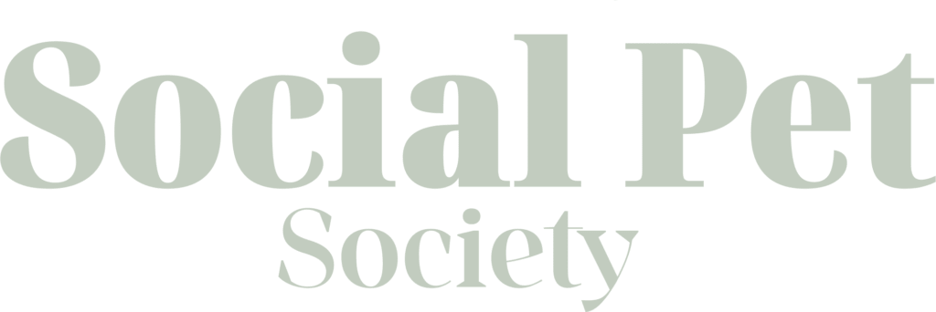 Find Pet-Friendly Businesses in Queensland | Social Pet Society