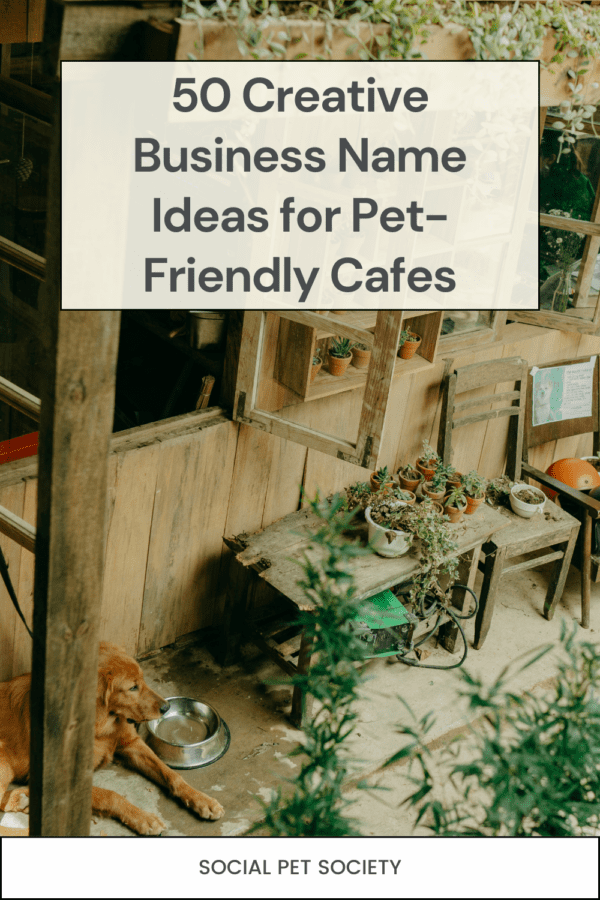 50 Creative Business Name Ideas for Pet-Friendly Cafes | Social Pet Society