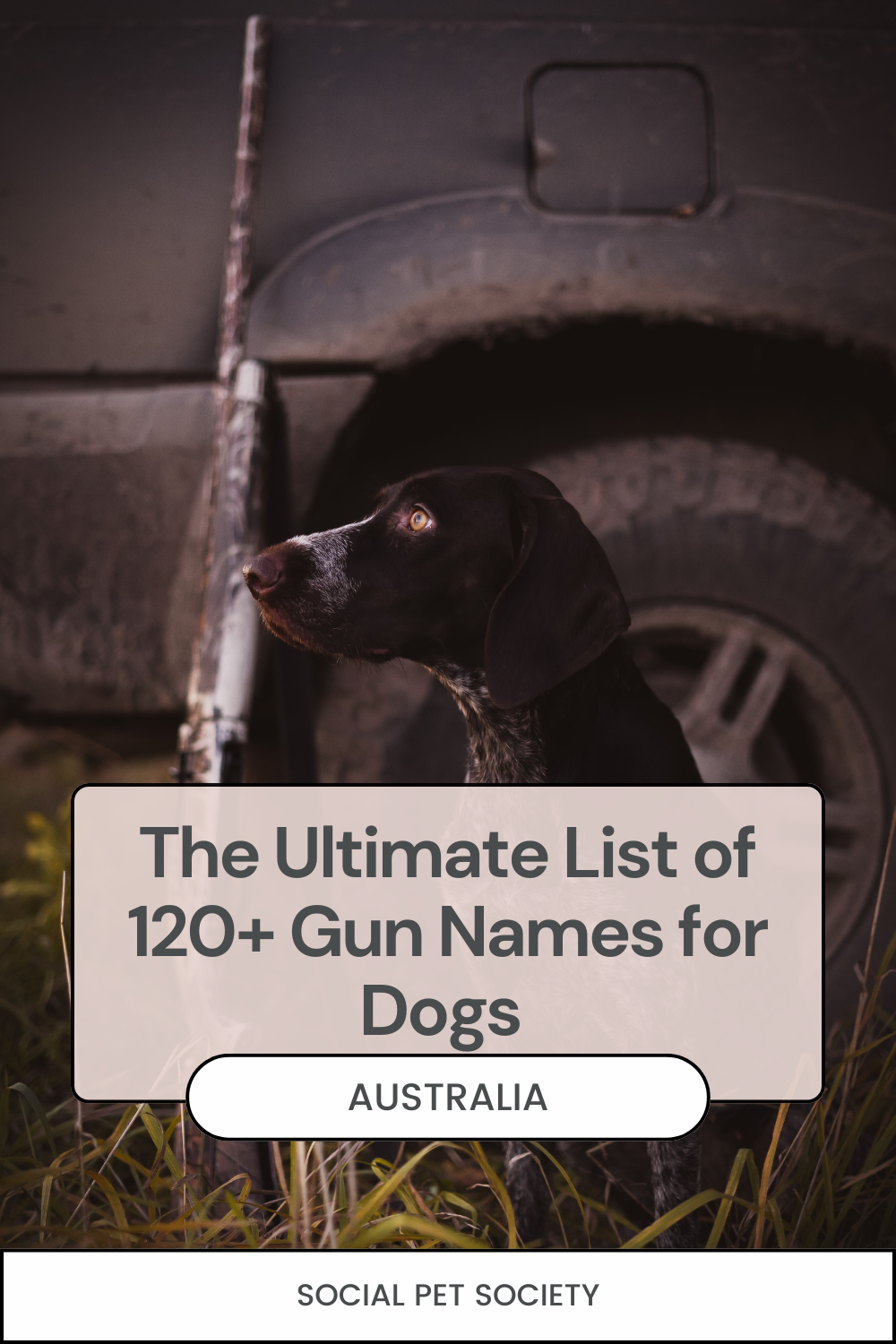 120+ Gun-Inspired Dog Names for Bold, Fearless Pups