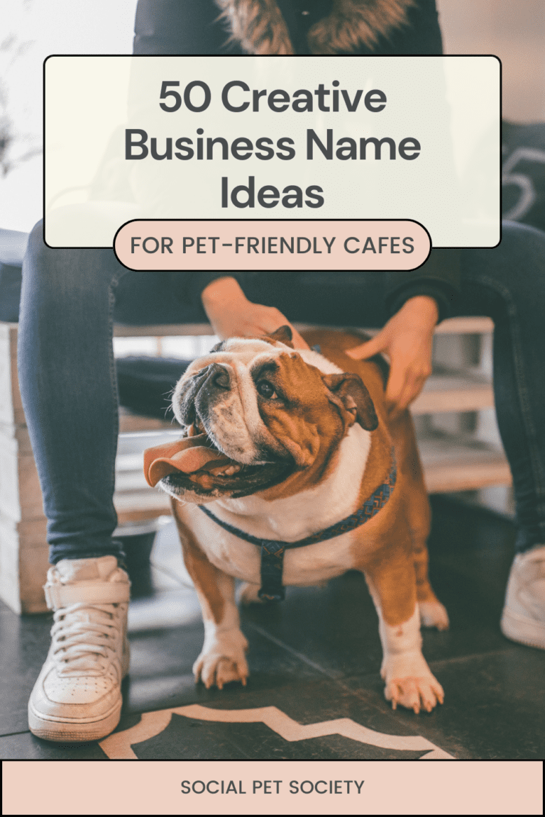 50 Creative Business Name Ideas for Pet-Friendly Cafes | Social Pet Society