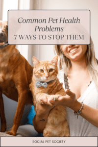 Understanding Common Pet Health Problems: 7 Ways to Prevent Them ...